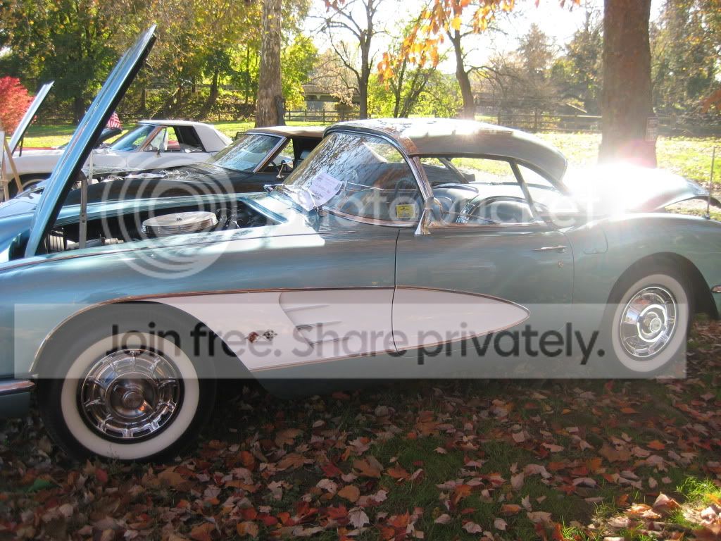 Pics from Corvettes for Chip Show today ! - CorvetteForum - Chevrolet ...