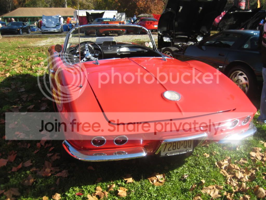 Pics from Corvettes for Chip Show today ! - CorvetteForum - Chevrolet ...