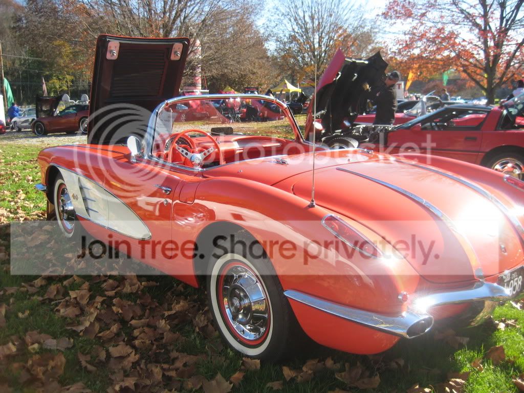 Pics from Corvettes for Chip Show today ! - CorvetteForum - Chevrolet ...