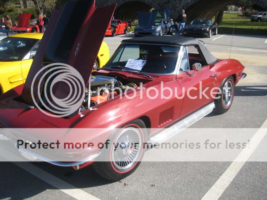 Pics from Corvettes for Chip Show today ! - CorvetteForum - Chevrolet ...