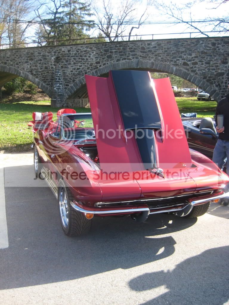 Pics from Corvettes for Chip Show today ! - CorvetteForum - Chevrolet ...
