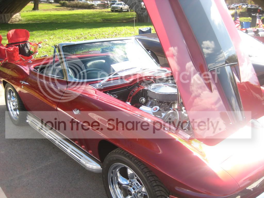 Pics from Corvettes for Chip Show today ! - CorvetteForum - Chevrolet ...