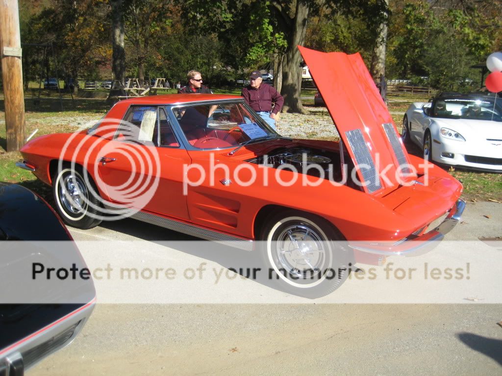 Pics from Corvettes for Chip Show today ! - CorvetteForum - Chevrolet ...