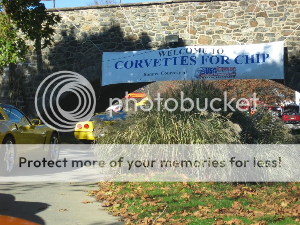 Corvettes for Chip Show - Pics! - CorvetteForum - Chevrolet Corvette ...