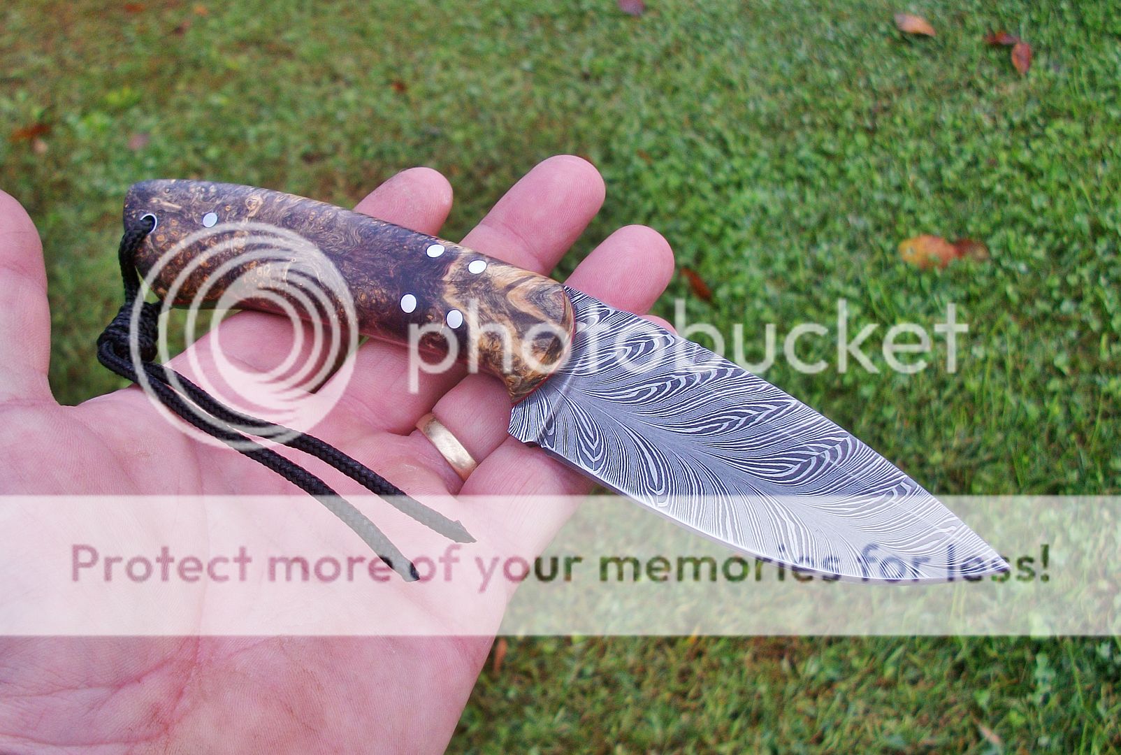 Backwoods {( Personal Model )} Take a LOOK~~~~~~~> - 24hourcampfire