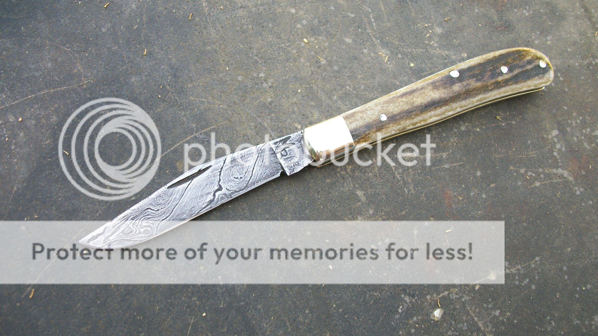 MR KNIVES DAMASCUS & Stag | BladeForums.com