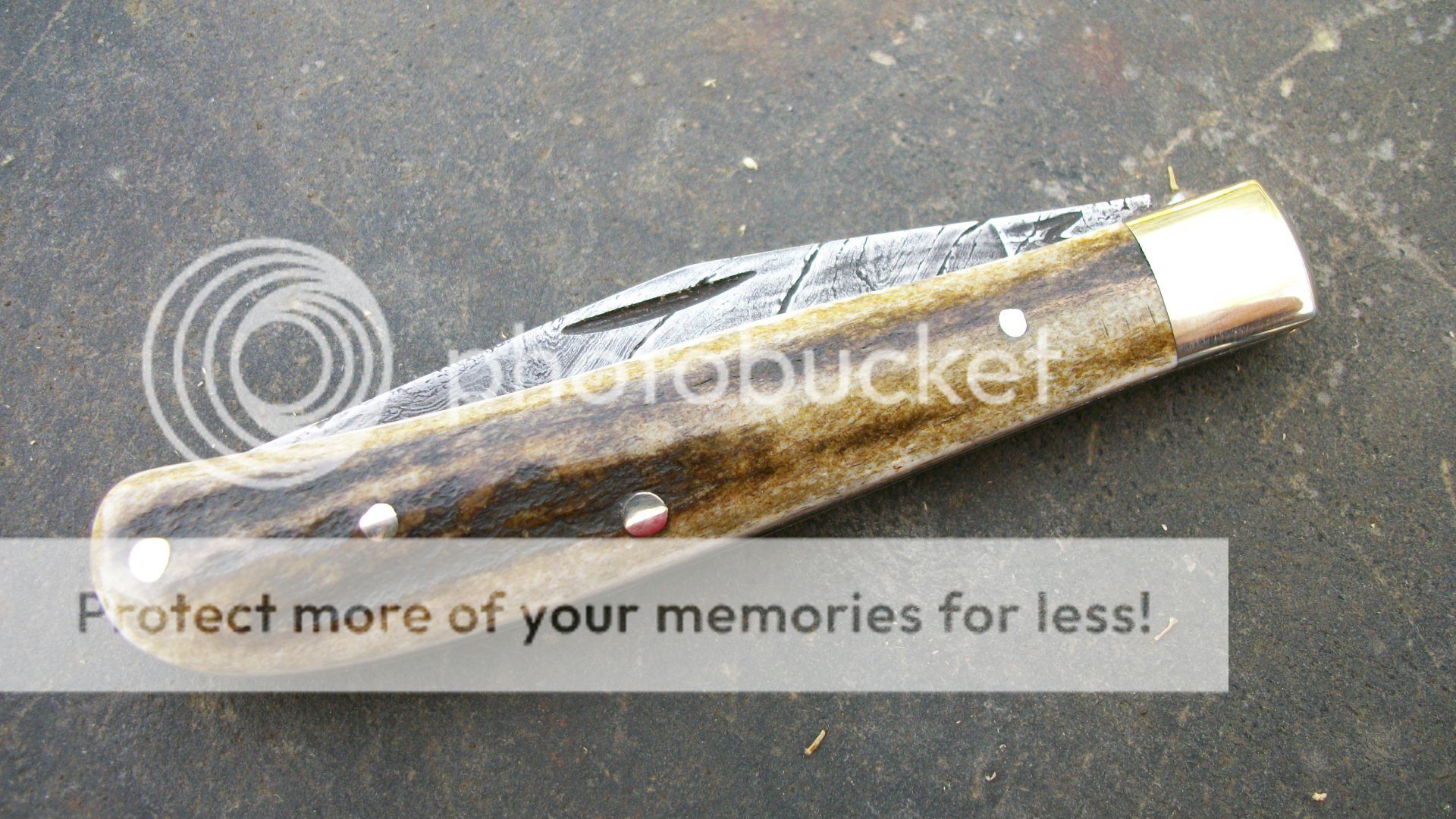 MR KNIVES DAMASCUS & Stag | BladeForums.com